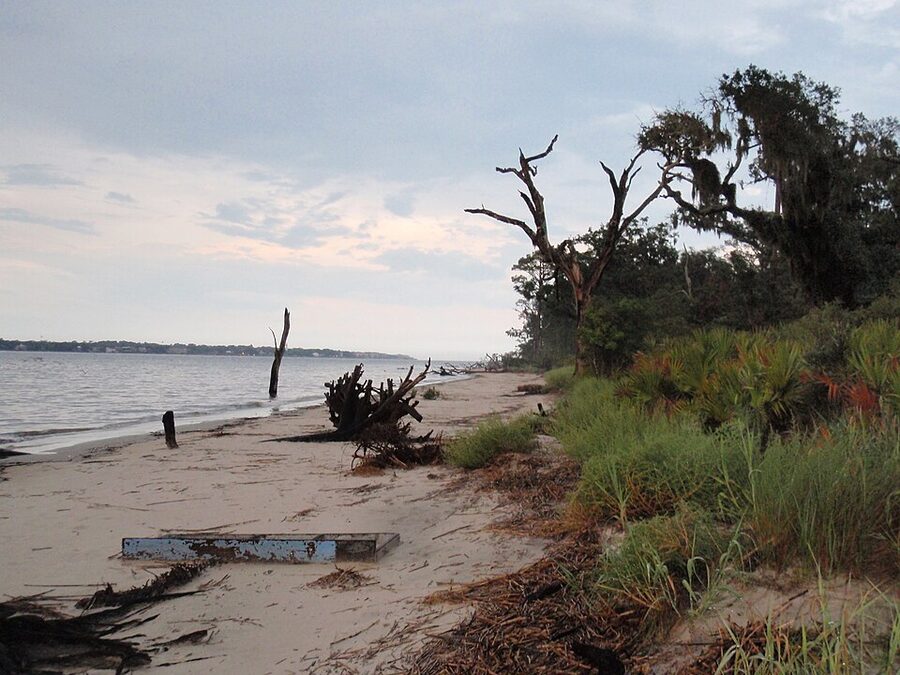 Driftwood Beach oak skeletons on Jekyll Island Georgia