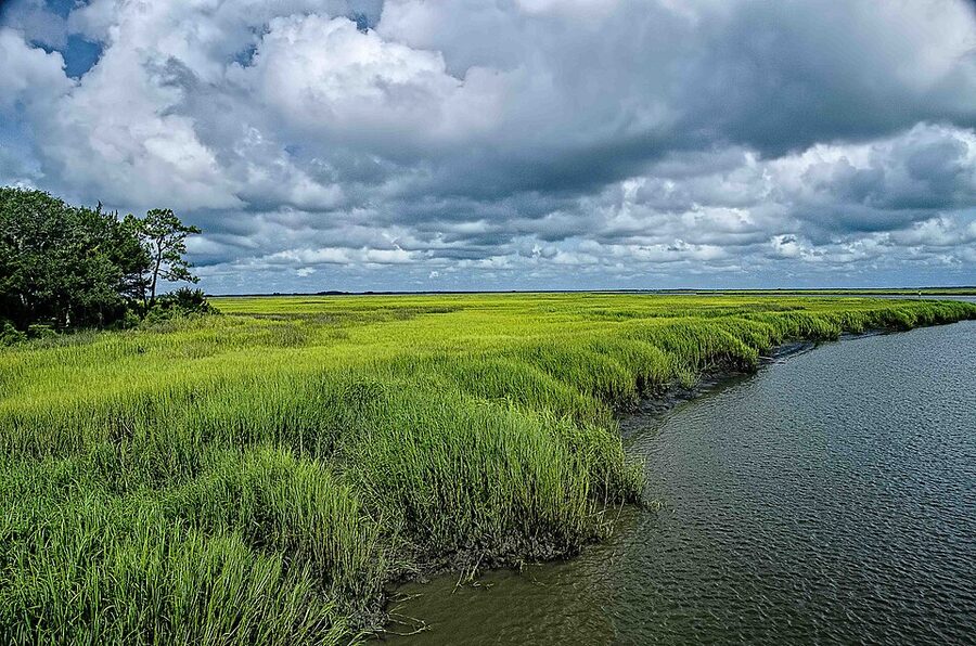 Salt marshes on the Georgia coast near Jekyll Island