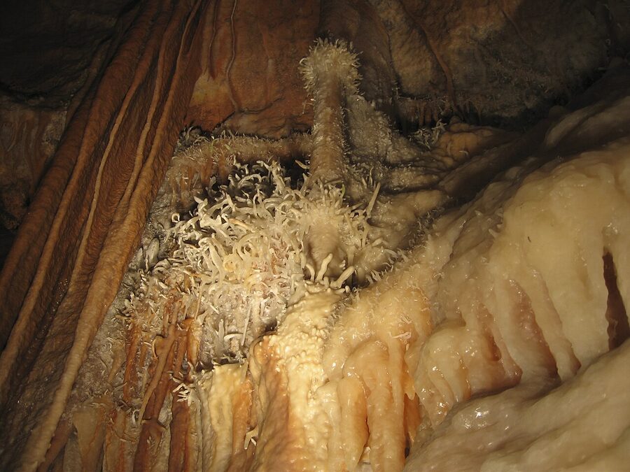 Helictite formations growing sideways at Jenolan Caves