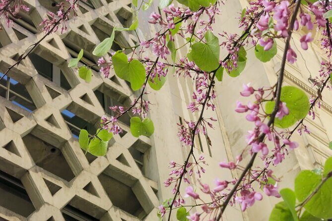 Jewish History Tour of Le Marais - The Experience: What to Expect and What Youll Love