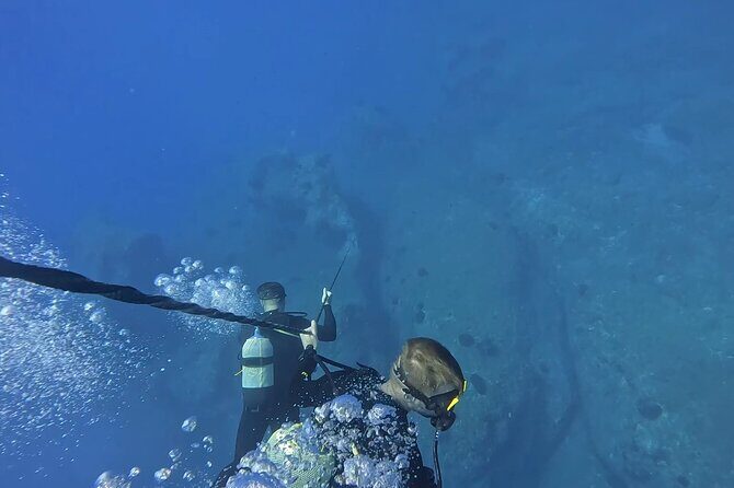 Jubilee Shoals guided boat dives - What’s the Value Here?