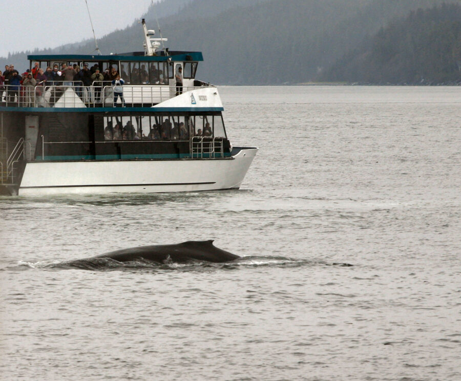 Whale watchers on the open deck of a tour boat in Juneau