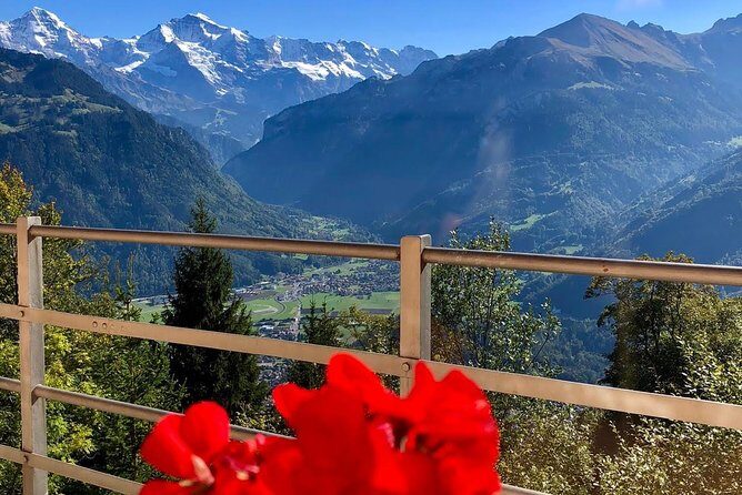 Jungfraujoch (Private Tour) - Transportation, Timing, and Group Size