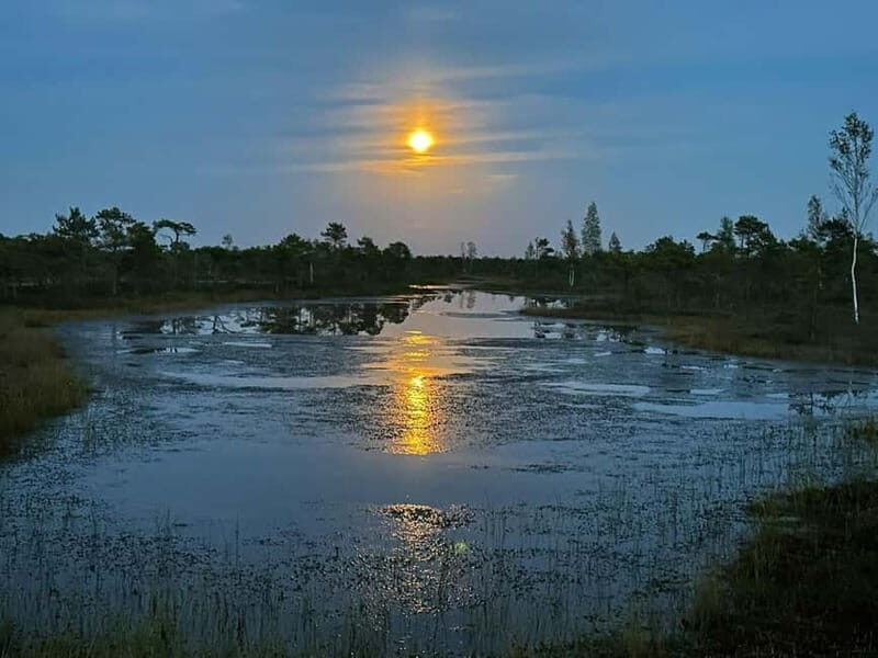 Jurmala: Kemeri National Park Sunset Trip - What We Love About the Tour