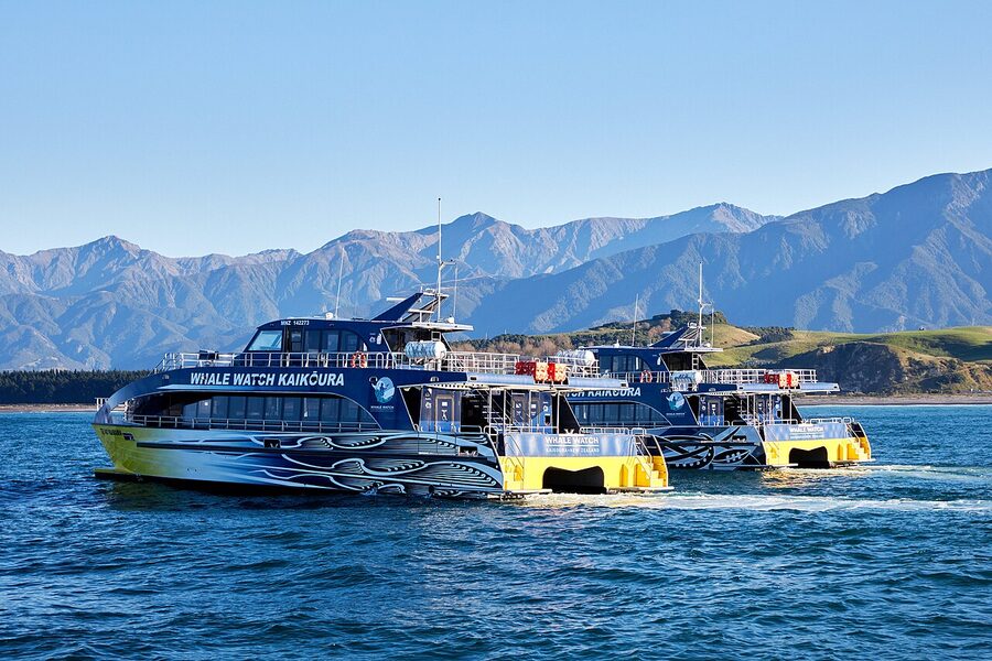 Whale Watch Kaikoura fleet boats