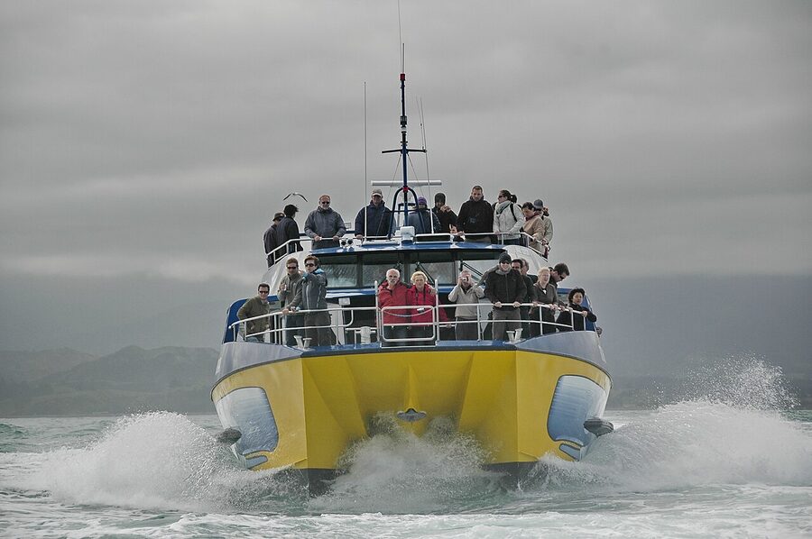 Whale watching passenger view from boat at Kaikoura
