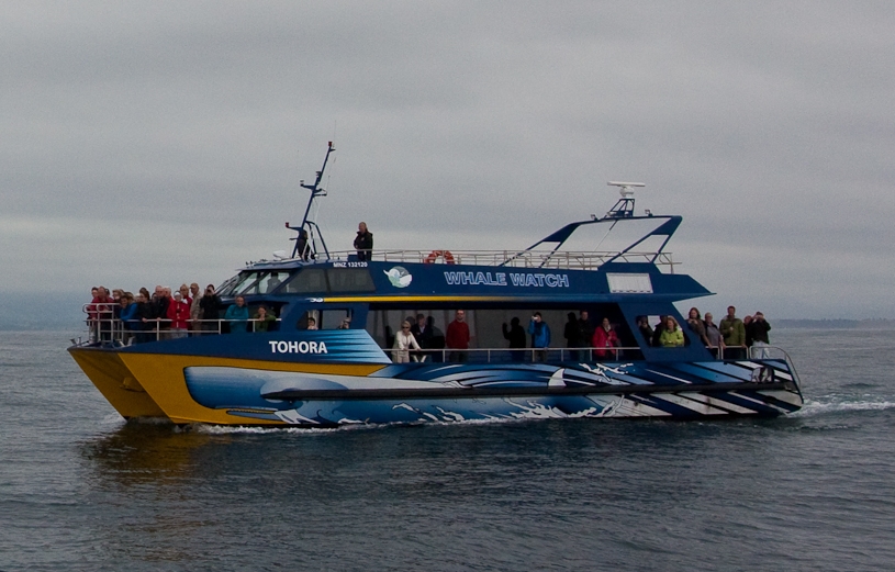 Kaikoura whale watching boat deck with passengers