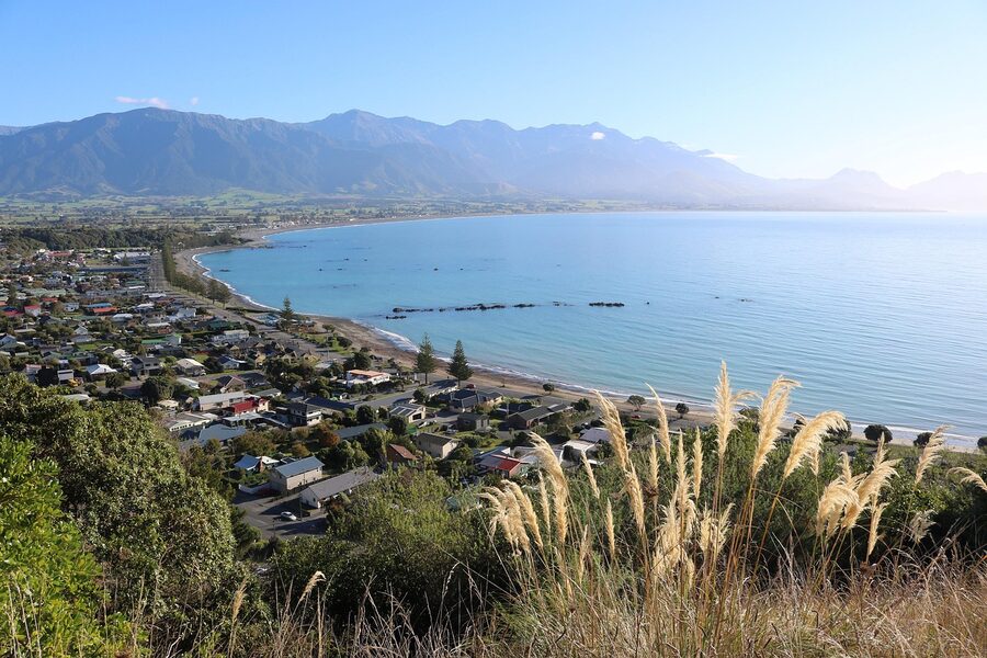 Kaikoura town wharf with toetoe grass