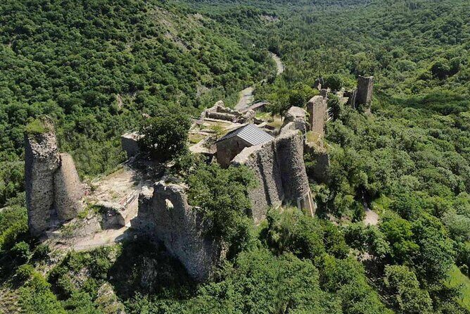 Kakheti, Bodbe, Sighnaghi and Telavi (Group Tour) - Who Should Take This Tour?