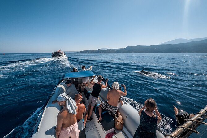 Kamiros Skala: Marine Life Experience and Alimia Island - Detailed Breakdown of the Itinerary
