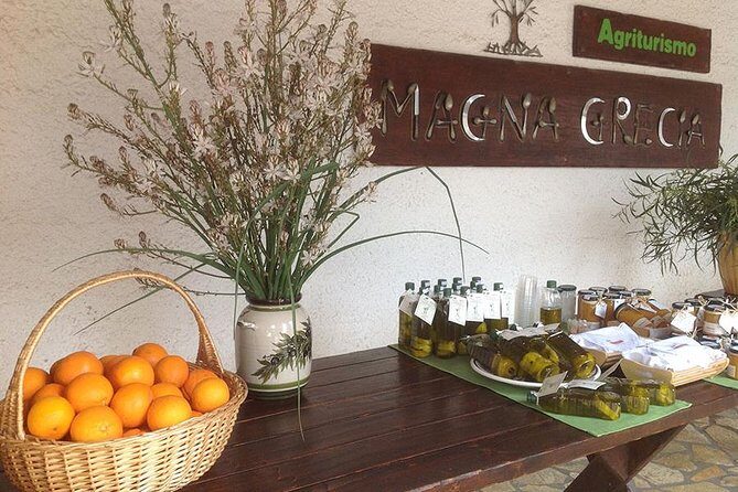 Katakolon 7hour tour : Olympia-Honey Farm-Winery-Beach - Who Will Love This Tour?