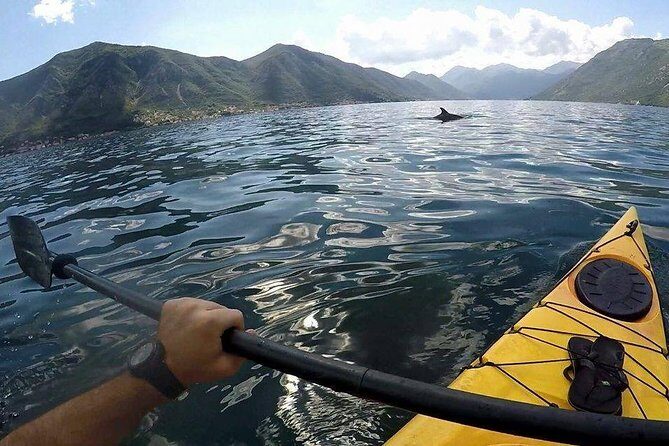 Kayak active tour - Who Would Like This Tour?