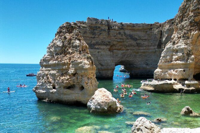 Kayak Experience with a Local - The Itinerary: What You’ll See and Experience