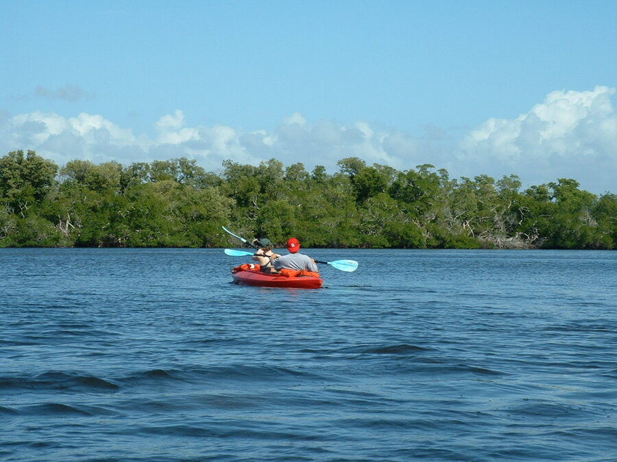 Kayakers on a guided nature tour paddling on Estero Bay Florida
