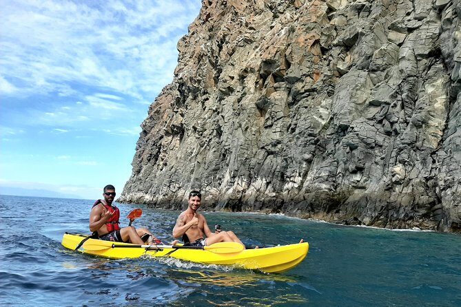 Kayak with Dolphin & Turtle Watching Private Tour - The Pros and Cons Based on Reviews