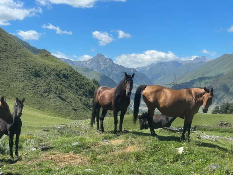 Kazbegi:Sunset Horse Riding Tour from Rooms Hotel Kazbegi - Why Travelers Love It