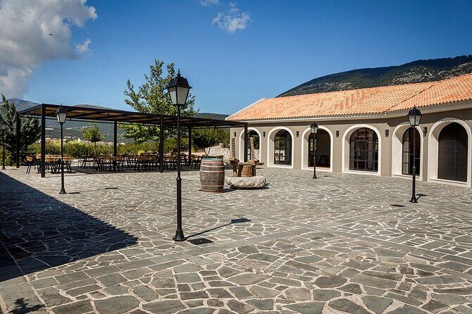 Kefalonia Wine Adventure with 18 Wine Tastings in 3 Wineries - What to Expect from the Experience