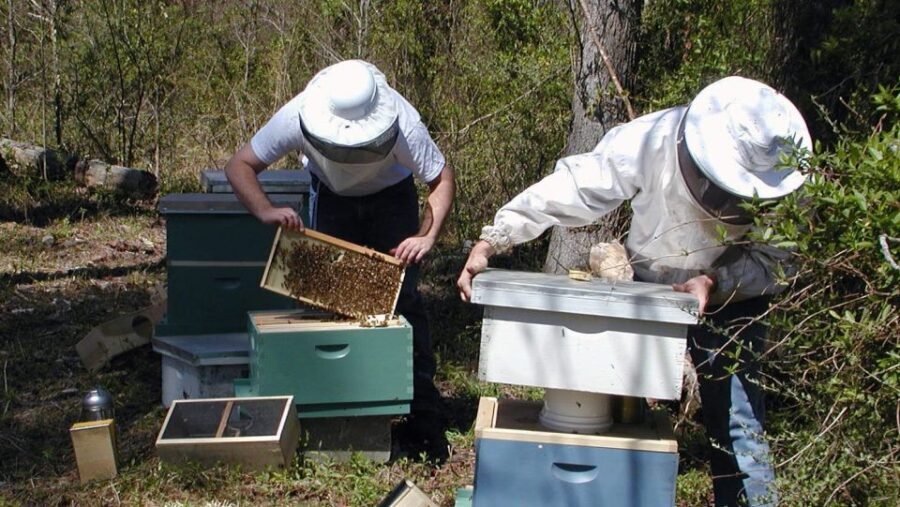 Kefalonia:Private Olive Oil, Honey & Wine Tasting Experience - Final Thoughts: Is This Tour Right for You?