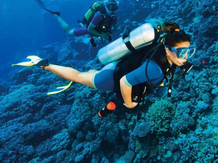 Kemer Scuba Diving with Expert Diving Option - What Travelers Are Saying: Authentic Insights