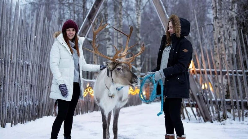 Kemi-Tornio: Reindeer farm experience - Detailed Review of the Reindeer Farm Experience