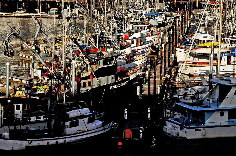 Working fishing boats in Ketchikan Alaska harbor
