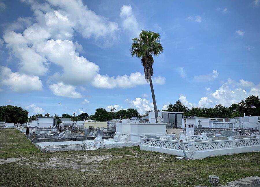 Lone palm tree in the Key West City Cemetery with white tombs