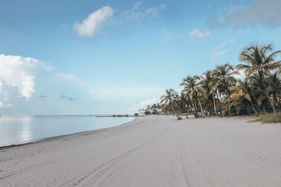 White sandy beach with palm trees in Key West Florida
