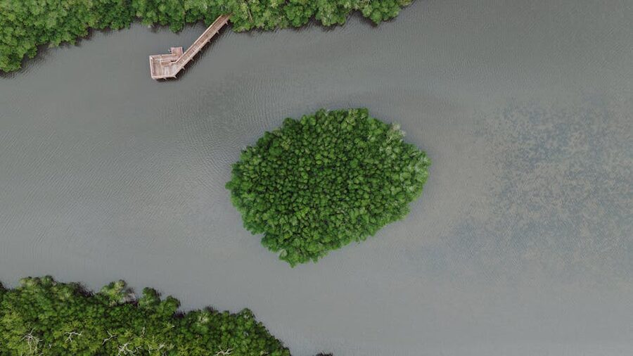 Aerial view of a Florida mangrove island