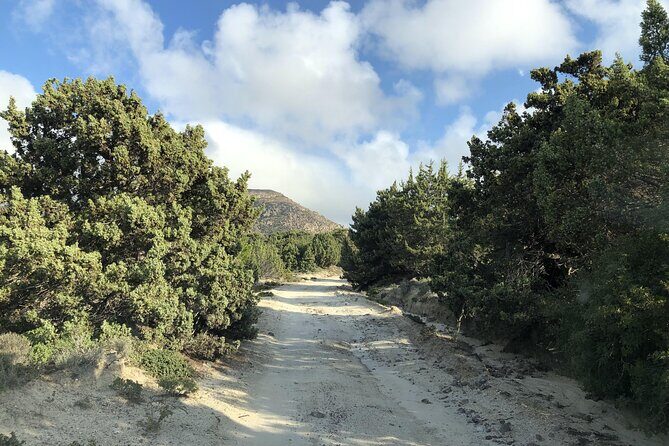 KGS02.Off the Beaten Track Tour in Kefalos & Cavo Paradiso - Why This Tour Offers Great Value