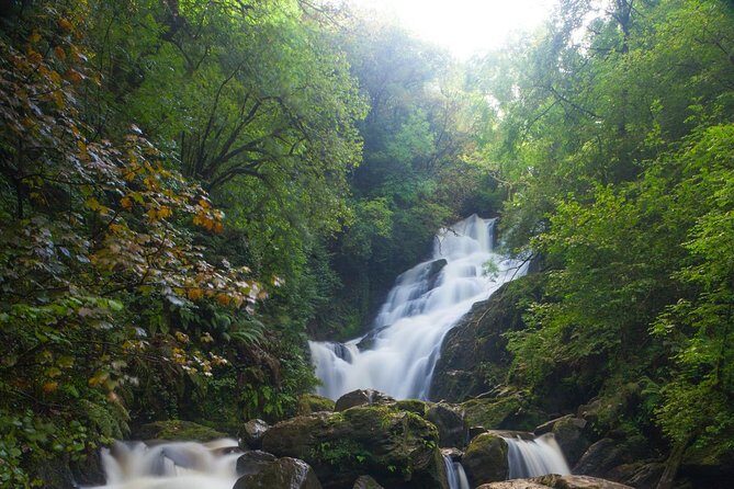 Killarney Highlight Half Day Tour -National Park-Muckross House - What’s Included and What’s Not