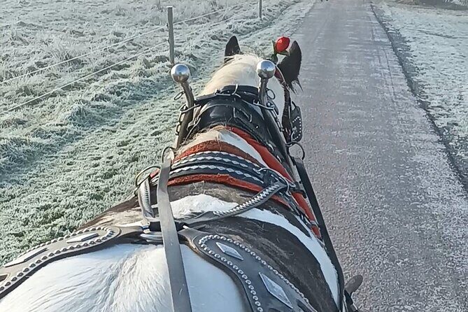 Killarney Jaunting Car Tour - What’s Included and How It Adds Value