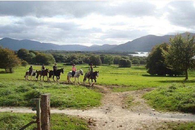 Killarney National Park Horseback Ride. Co Kerry. Guided. 1 hour. - Who Should Book This Tour?