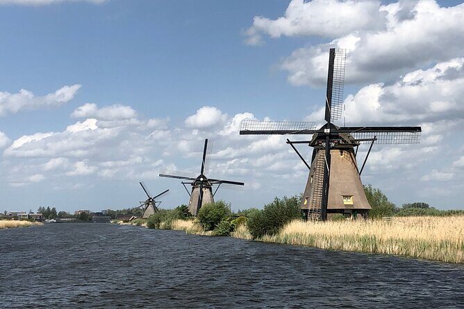 Kinderdijk Windmills, Delft City & Delft Blue Factory Visit - Who Will Appreciate This Tour Most?