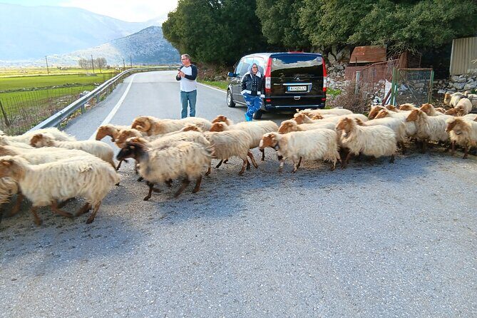 Knossos & Lasithi Plateau: Villages, Olive Oil Tour From Elounda - What Could Be Better