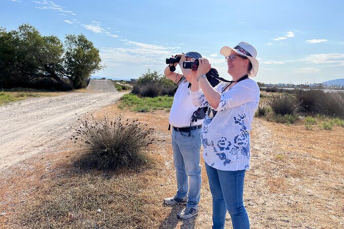 Kos Wildlife Walks: birdwatching and animal photography - Why This Wildlife Walk Is Worth Your Time