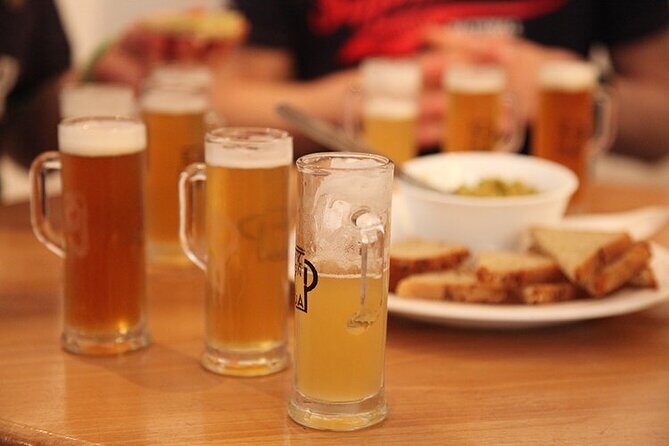 Krakow 3-Hour Craft Beer Tour - Who Should Consider This Tour?