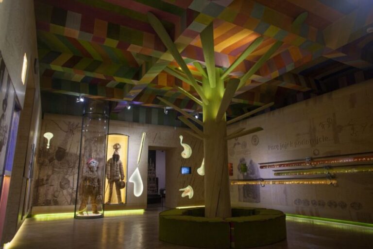 Krakow: Ethnographic Museum Entry Ticket - What to Expect from Your Visit