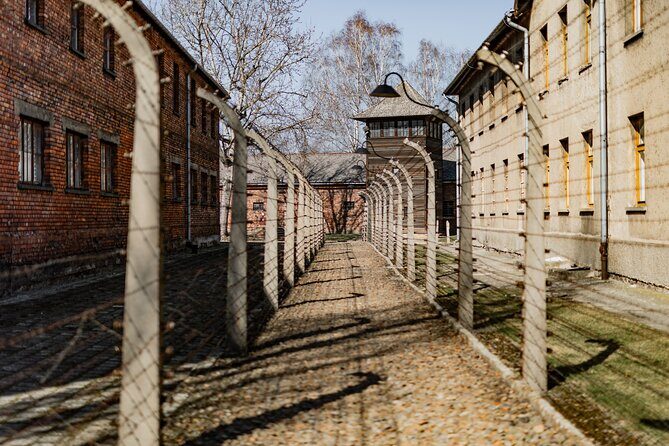 Krakow to Auschwitz Birkenau Guided Tour with Private Transfer - Guides and Educational Value