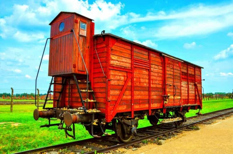Krakow: Wieliczka Salt Mine and Auschwitz-Birkenau Tour - What to Expect on the Tour