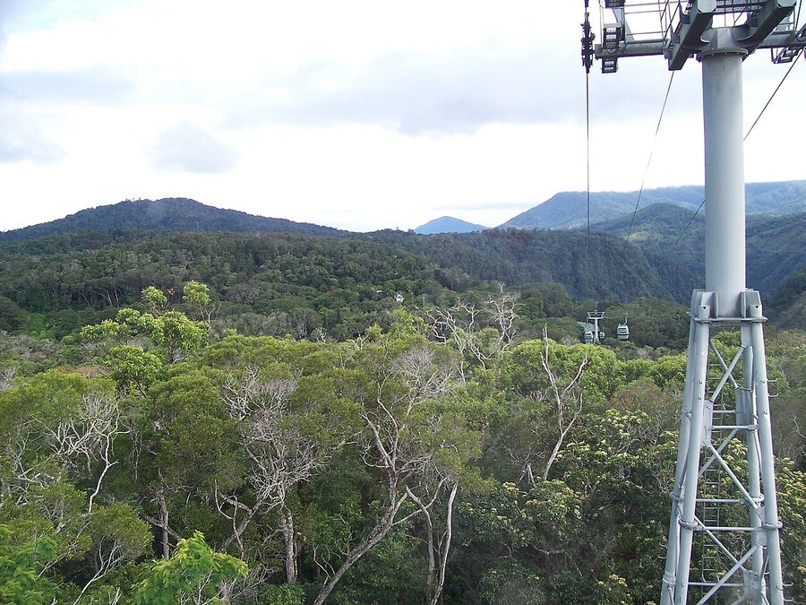 Kuranda Skyrail gondola crossing the rainforest canopy