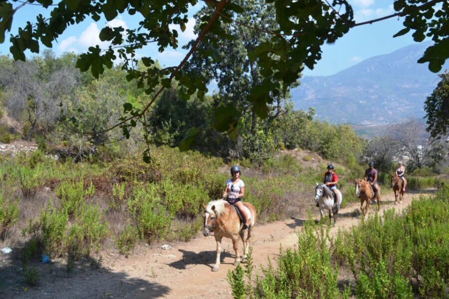 Kusadasi: Horse Riding Beach and Forest w/Transfer - Who This Tour Is Best For