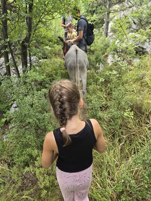 Kvarner/mrika Guided Donkey Walk, Cave & Scenic Picnic Spot - The Experience in Detail