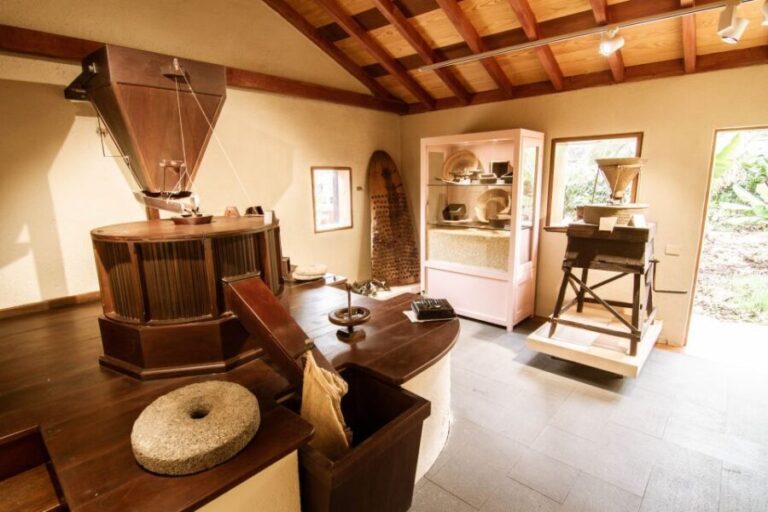 La Gomera: Entry Ticket for The Ethnographic Park - Who Should Consider This Experience?