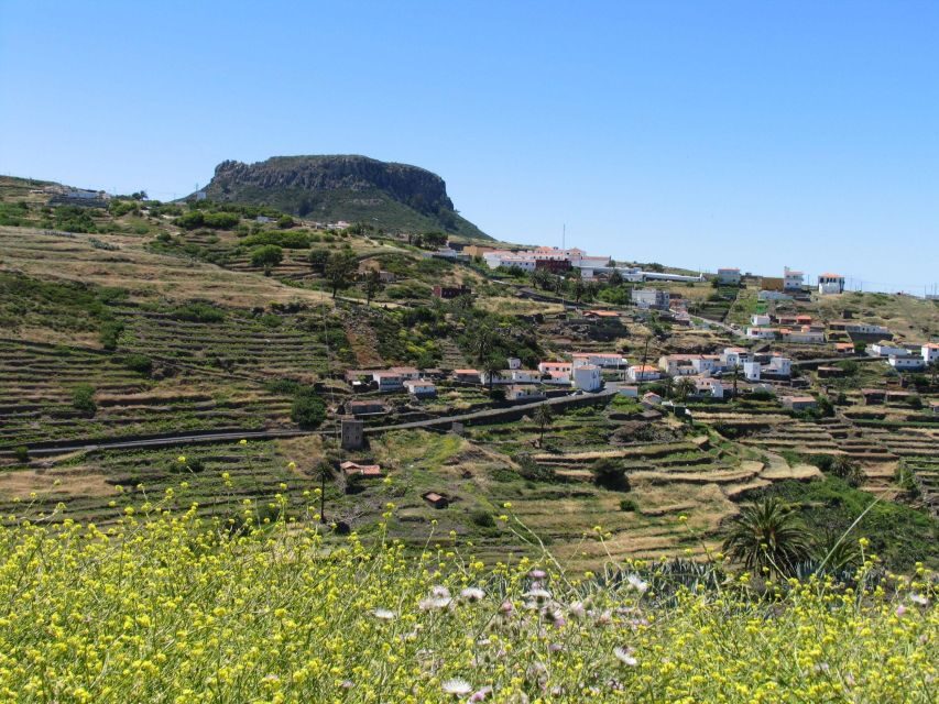 La Gomera: Guided Hiking Tours from Valle Gran Rey - Dive Into the Itinerary