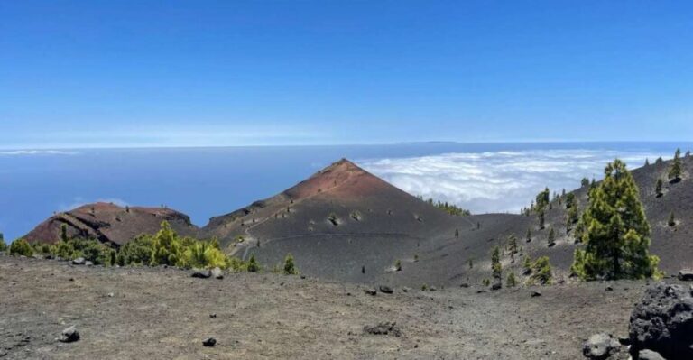 La Palma: Guided trekking tour to volcanoes south - Who Is This Tour Best For?