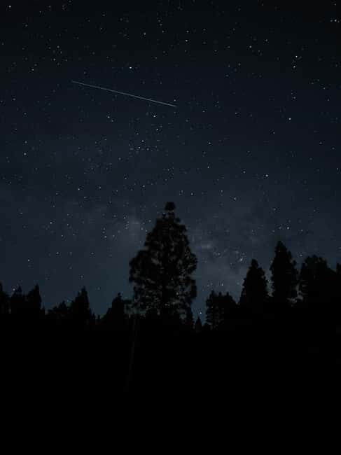 La Palma: VIP Night Sky Tour With Your Own Telescope - Value and Pricing