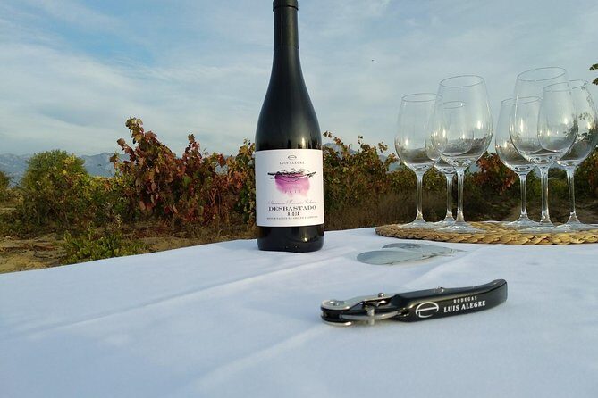 La Rioja wine tour: winery and traditional lunch from Bilbao - Practical Details and Tips