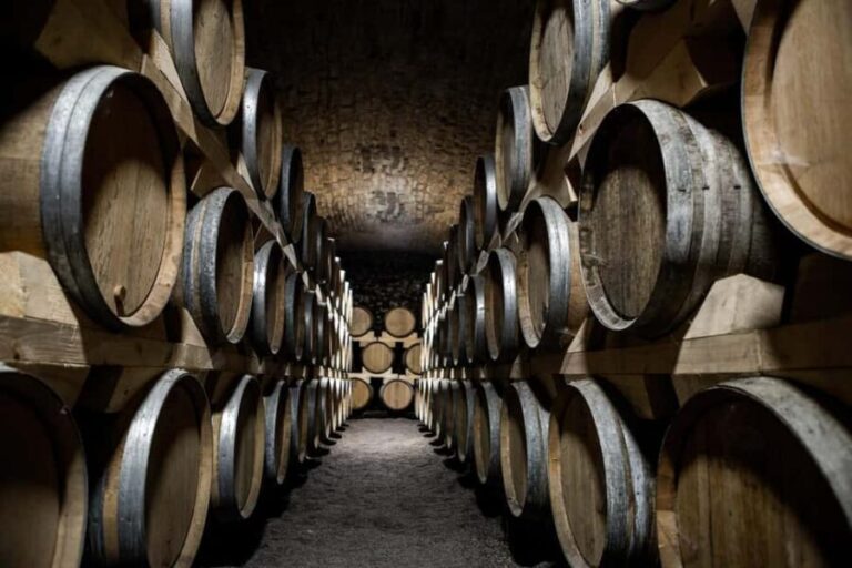 La Roche Vineuse: Visit the Vine and Wine Museum - Practical Details and Tips for Visitors