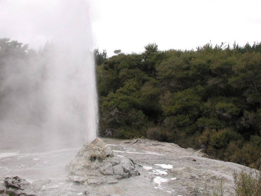Lady Knox geyser column at full eruption Wai-O-Tapu