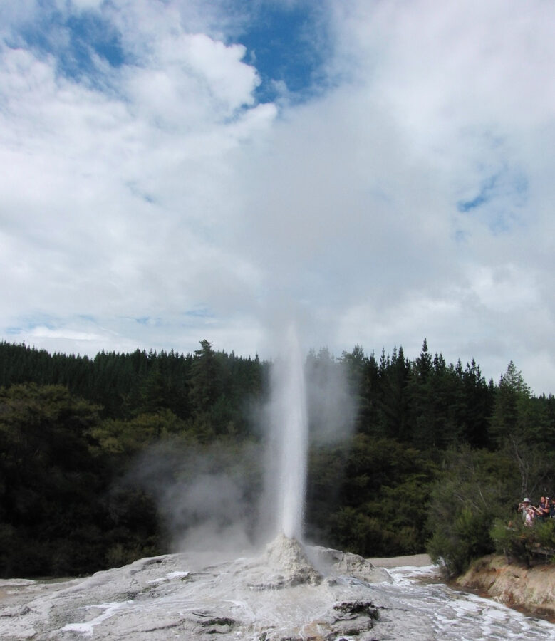 Lady Knox Geyser erupting at Wai-O-Tapu